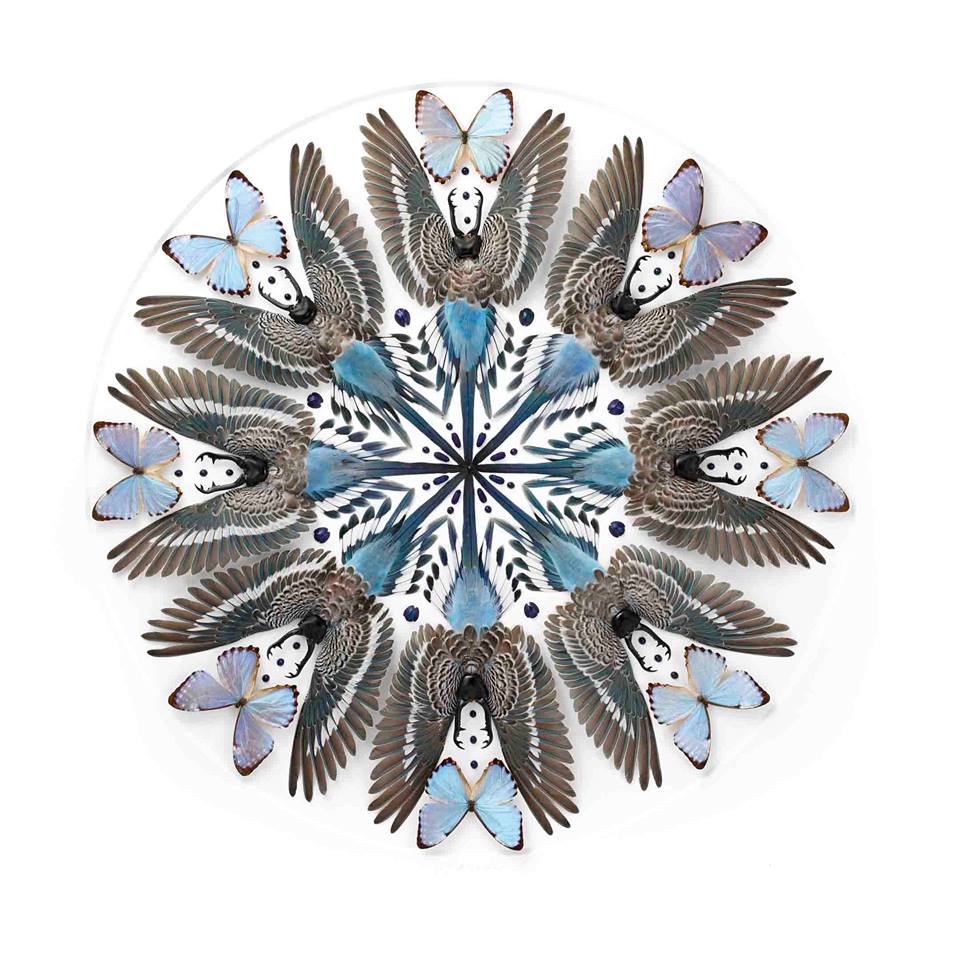 Planeta Cereza: Pheromone. Christopher Marley