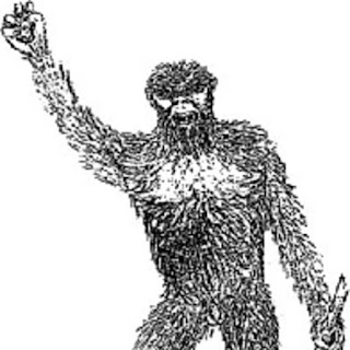 I recently came across the following account: