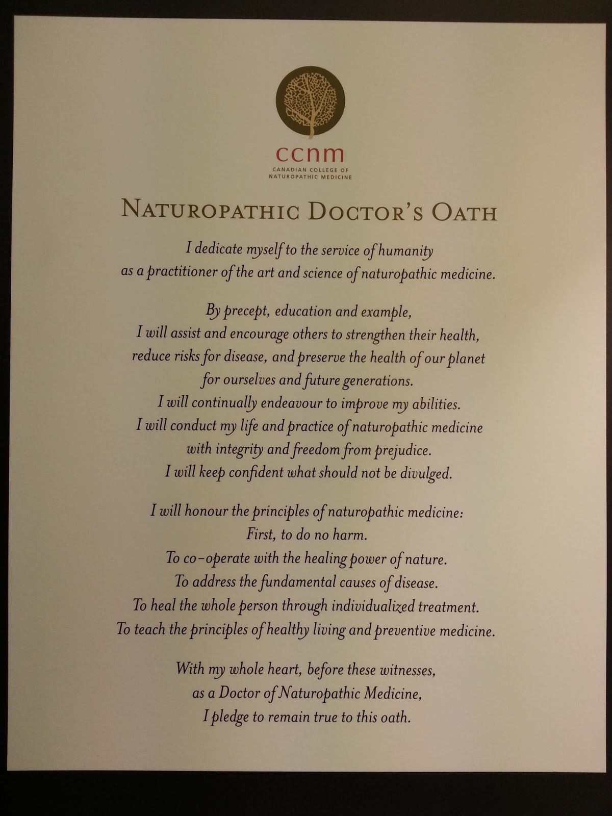 Navigating Naturopathy