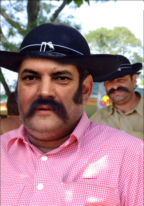 Si totusi povestile...: Noul DEX