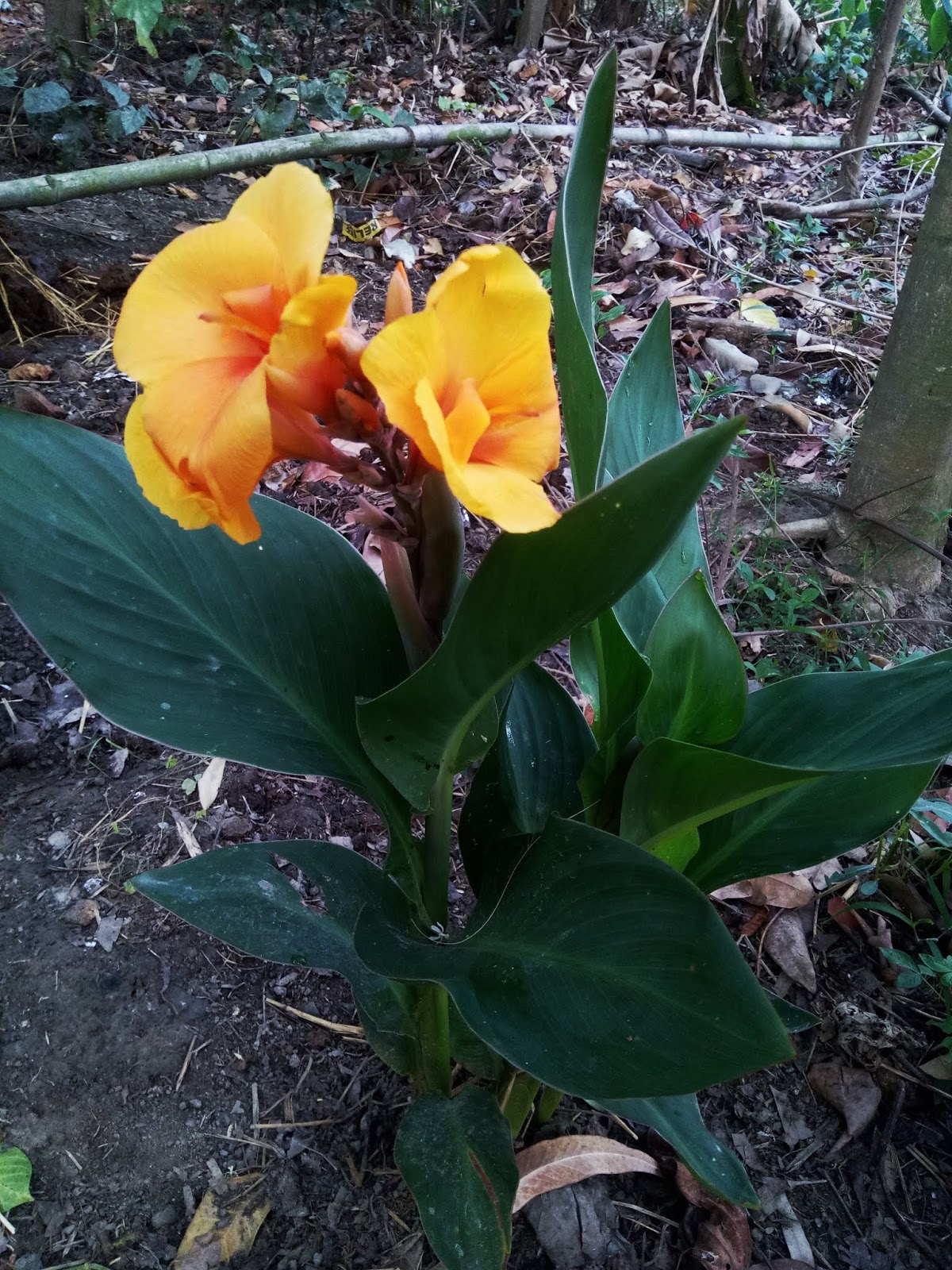 Nature and Historical Place