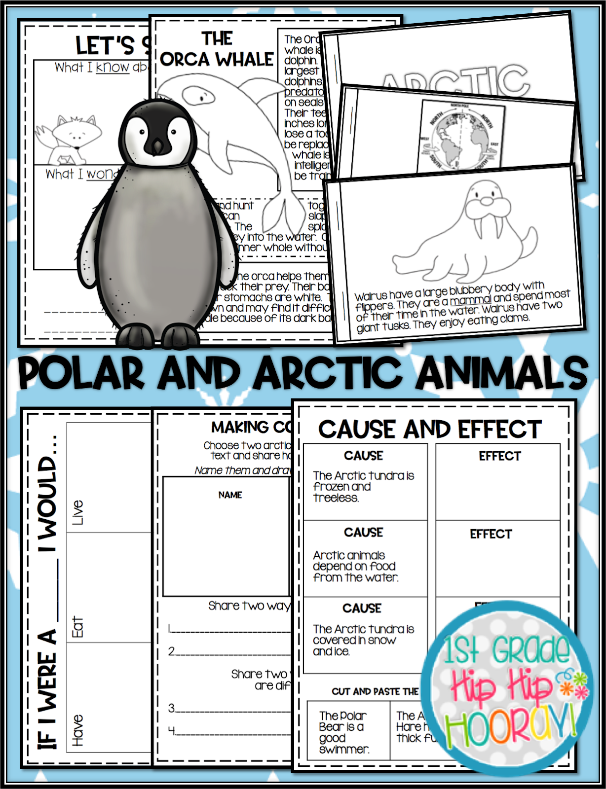 1st Grade Hip Hip Hooray!: Polar and Arctic Animals