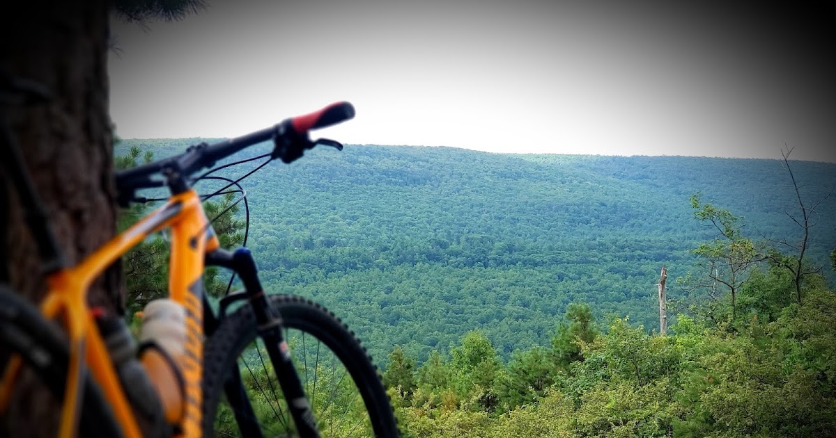 BACKTRACKING 2020, Part One -- SIGHTSEEING