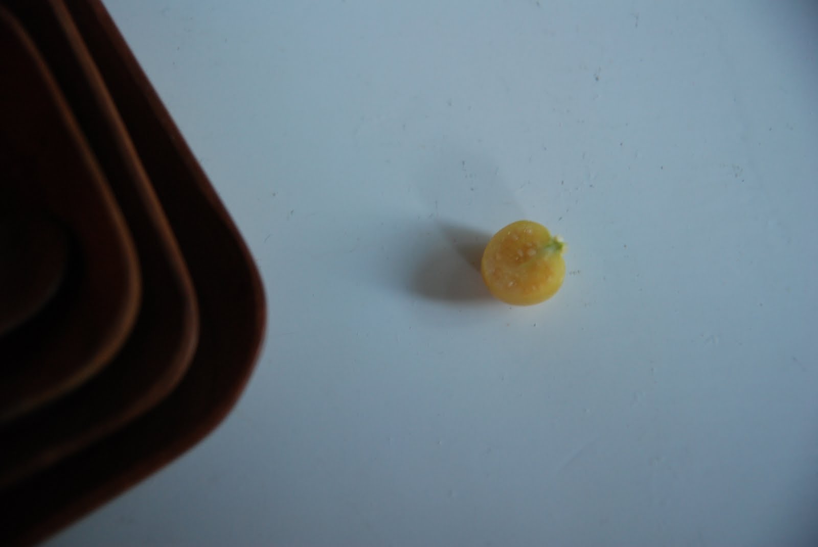 tend: ground cherries