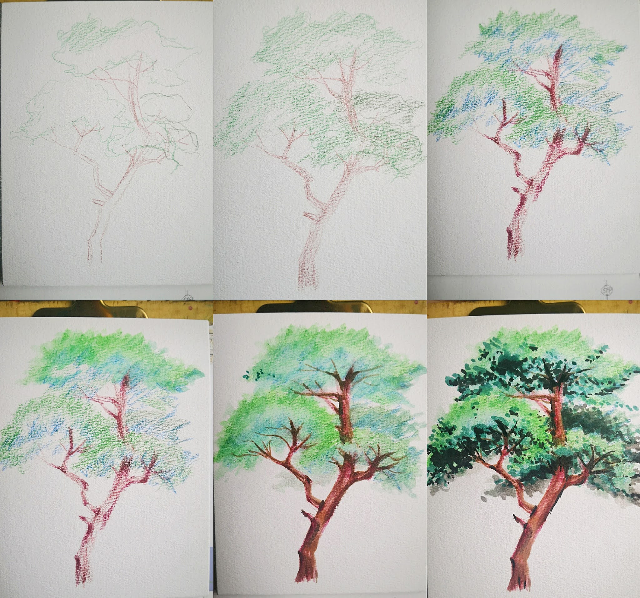 2+How to draw a watercolor tree step by step tutorial easy
