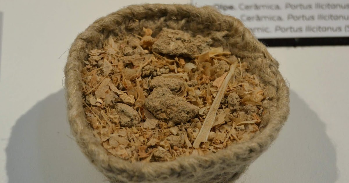 Rerum Romanarum: Garum