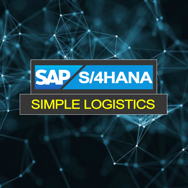 SAP s4 HANA Simple Logistics Training