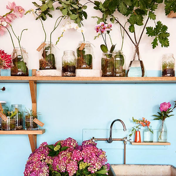 Flowerful shops • Paz Garden