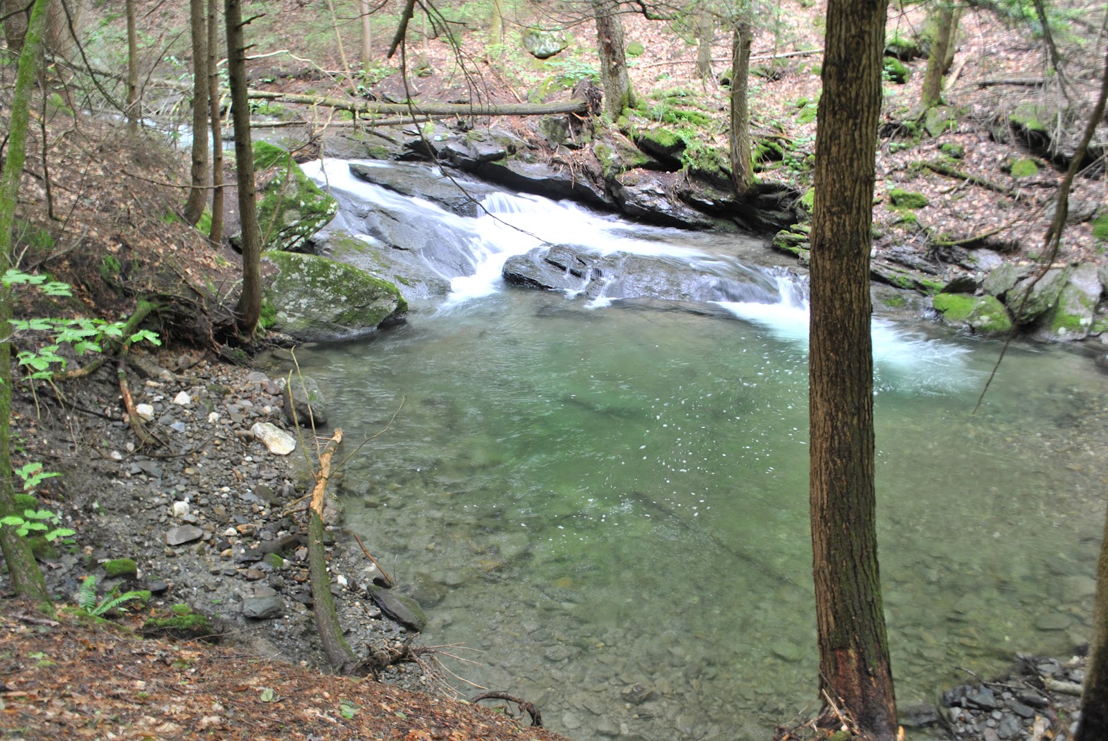 Natural Eye Artistry