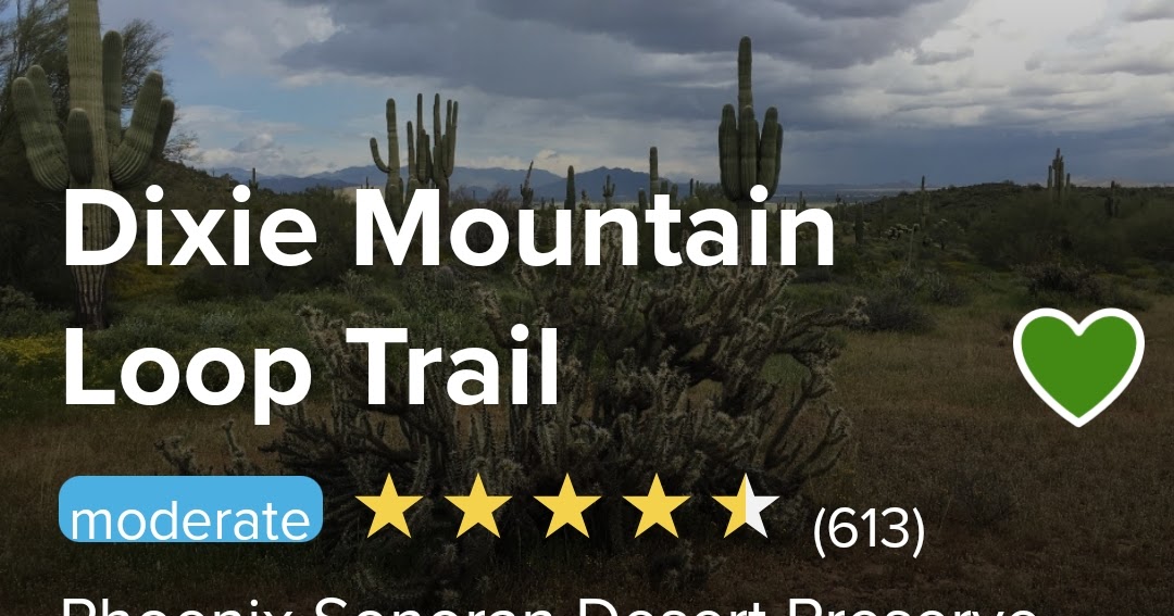 PHOTOS IN TIME: Dixie Mountain Loop Trail