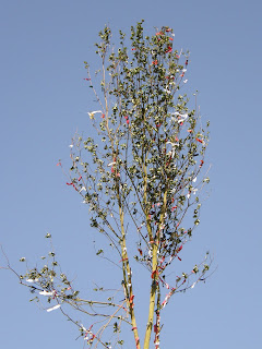 Circle of the Year: Tudor Revels