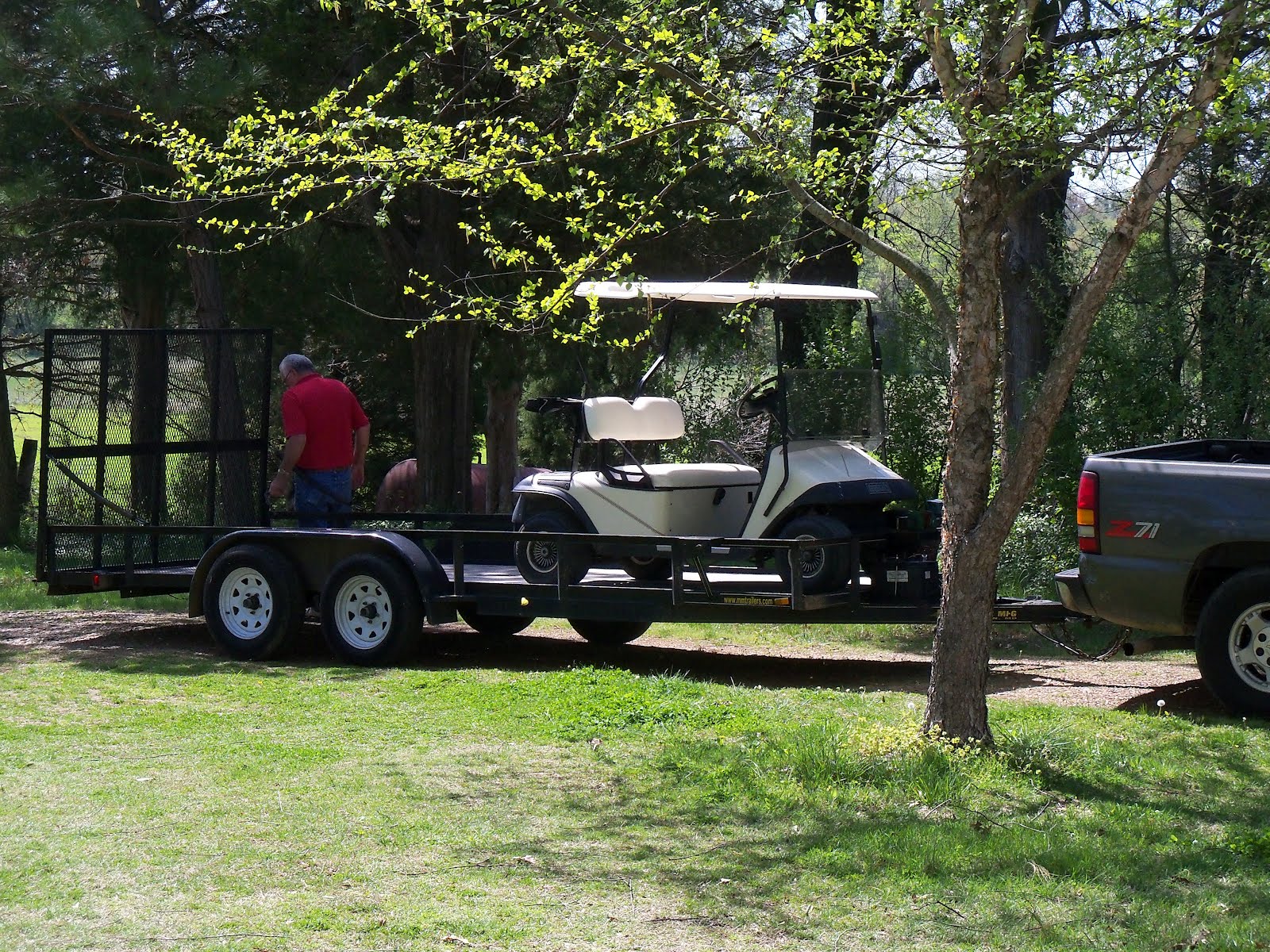 Dog Eared: We Bought a Gofer Cart