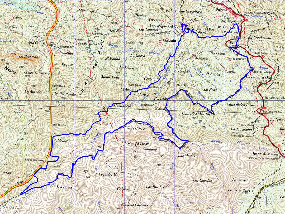 TROTONES: Bosque de Valgrande