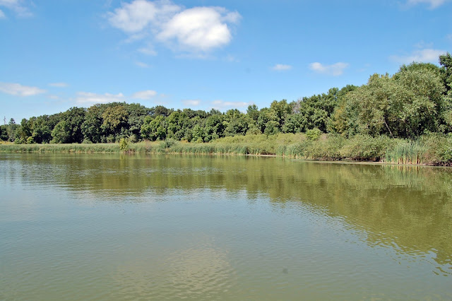 Circle Lake, Rice County, MN