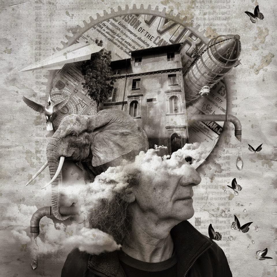 Cromofora La ( Paloma) Contemporary Online Art Gallery: ANDREA CONSTANTINI