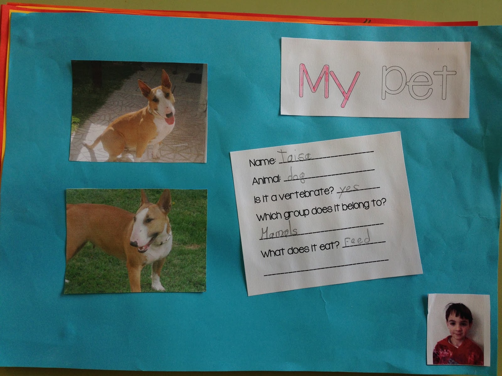 SCIENCE IN THE SCHOOL: My Pet