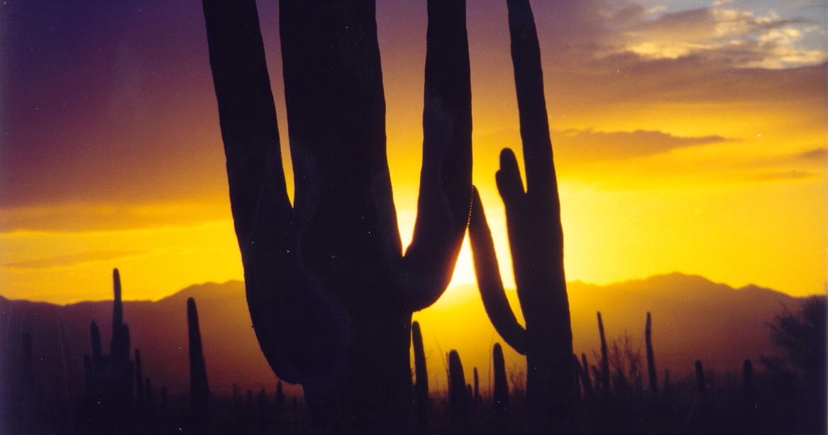 Tucson and South Arizona