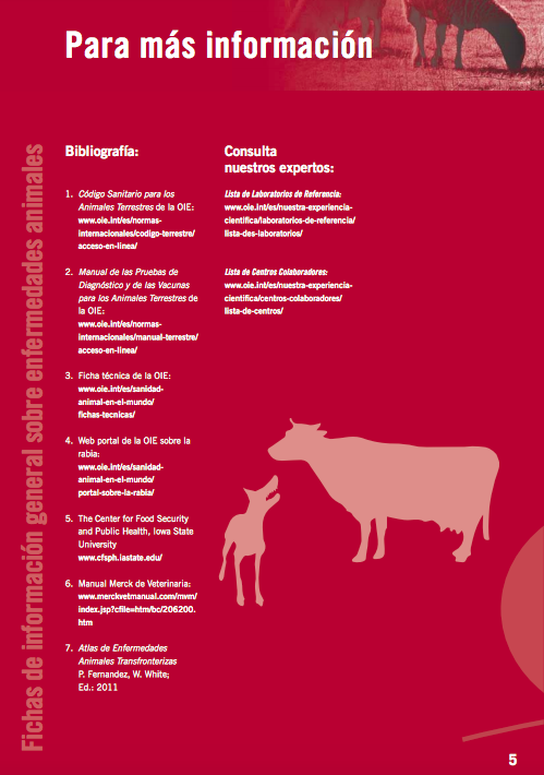 EMS SOLUTIONS INTERNATIONAL by @DrRamonReyesMD marca registrada: La ...