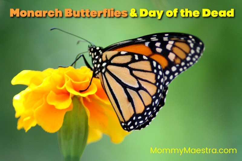 Mommy Maestra: Monarch Butterflies & Day of the Dead