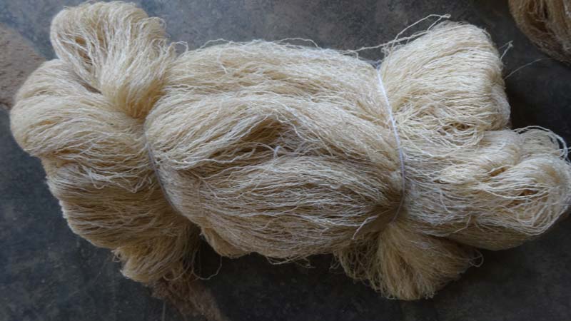 Assam Fashion: Garment or Fabric of Assam