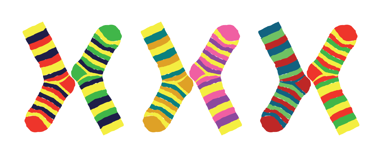 The Enablist World Down Syndrome Day 2013