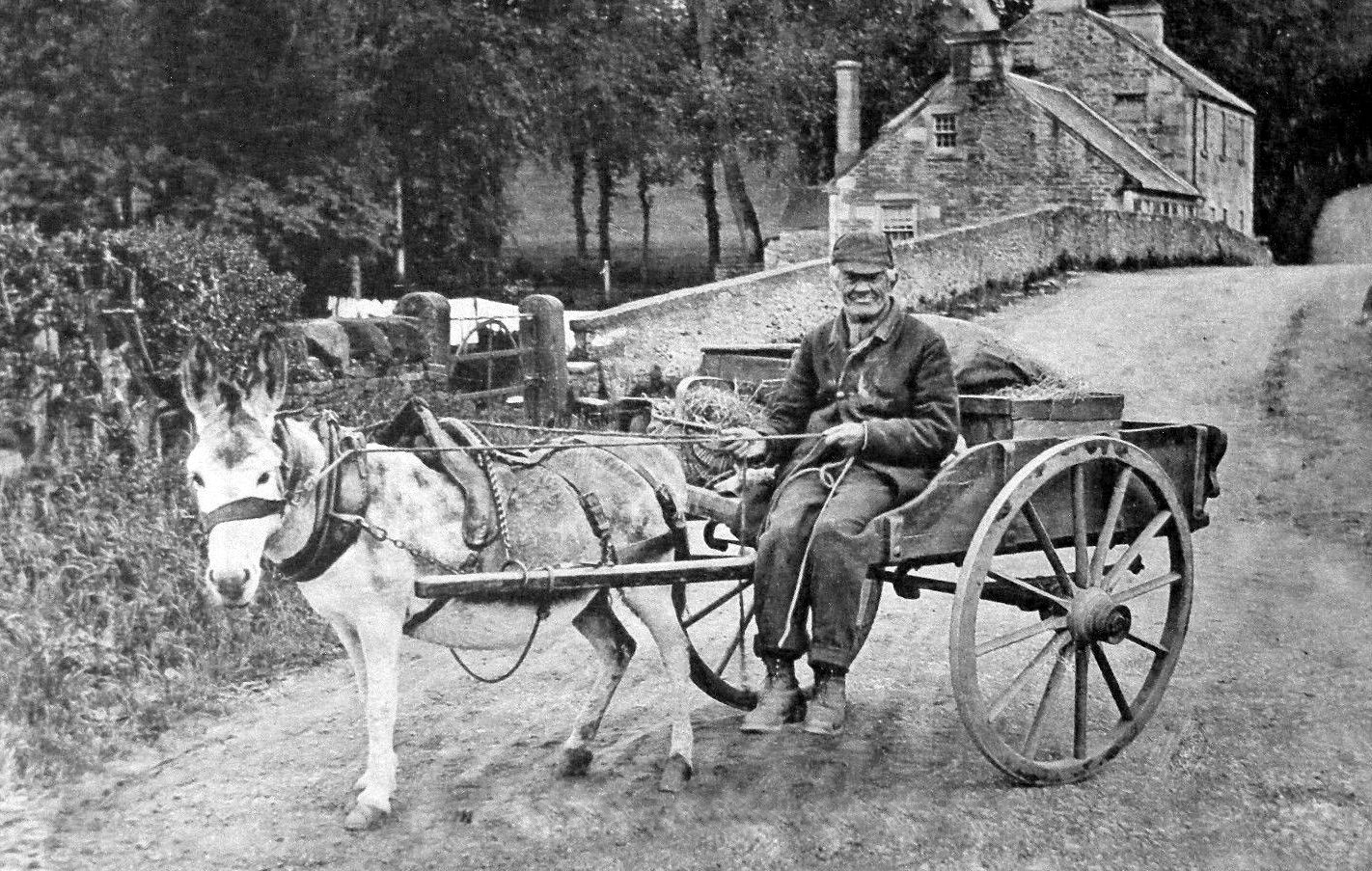 Tour Scotland: Old Photograph Gypsy With Donkey And Cart Near Perth ...