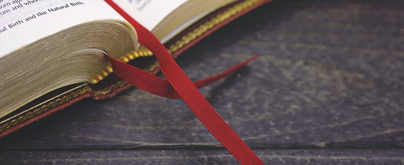 Dig Deeper: Lesson of Rahab's Scarlet Cord