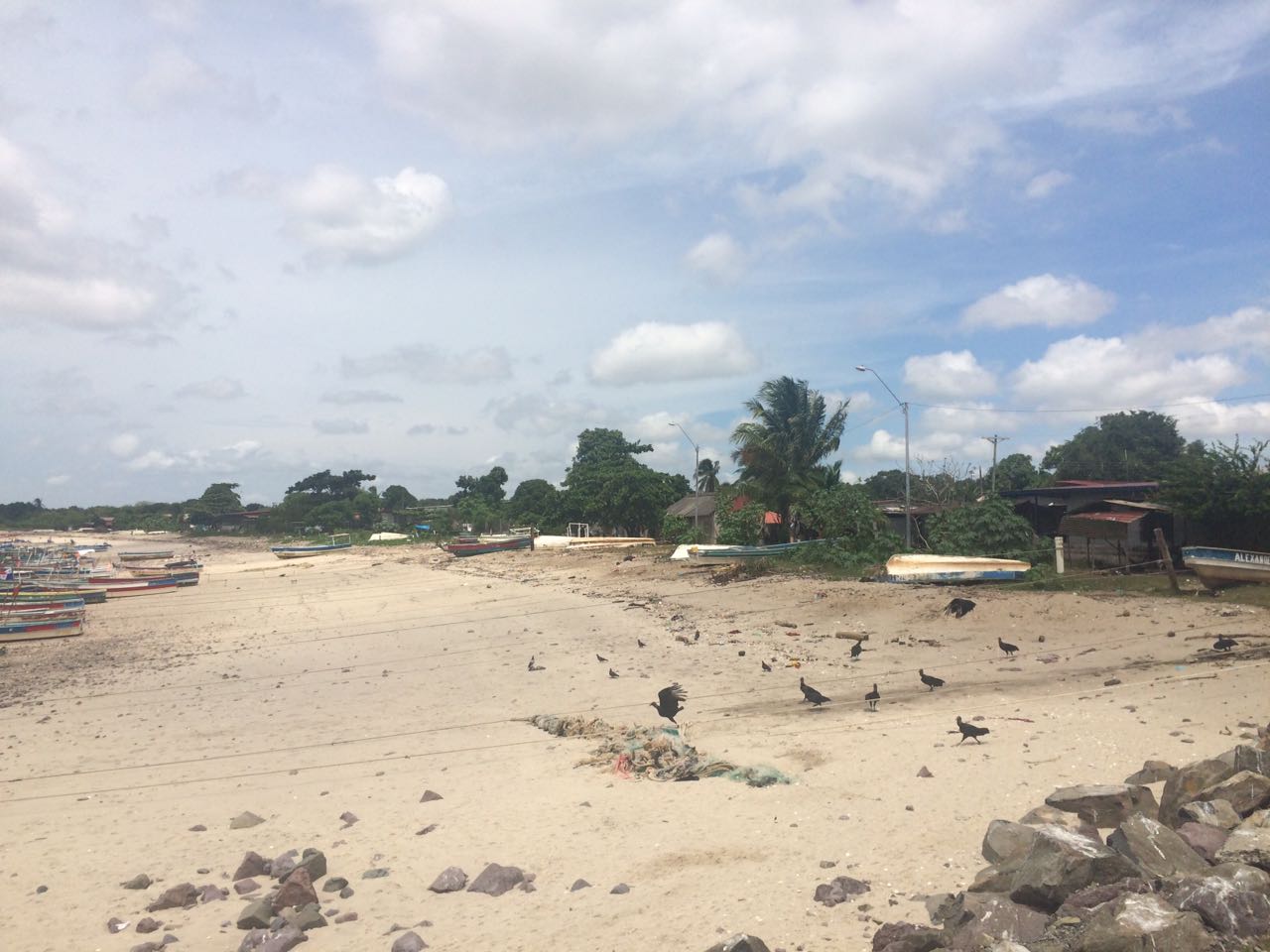 contaminacion de la playa de puerto caimito: problematicas