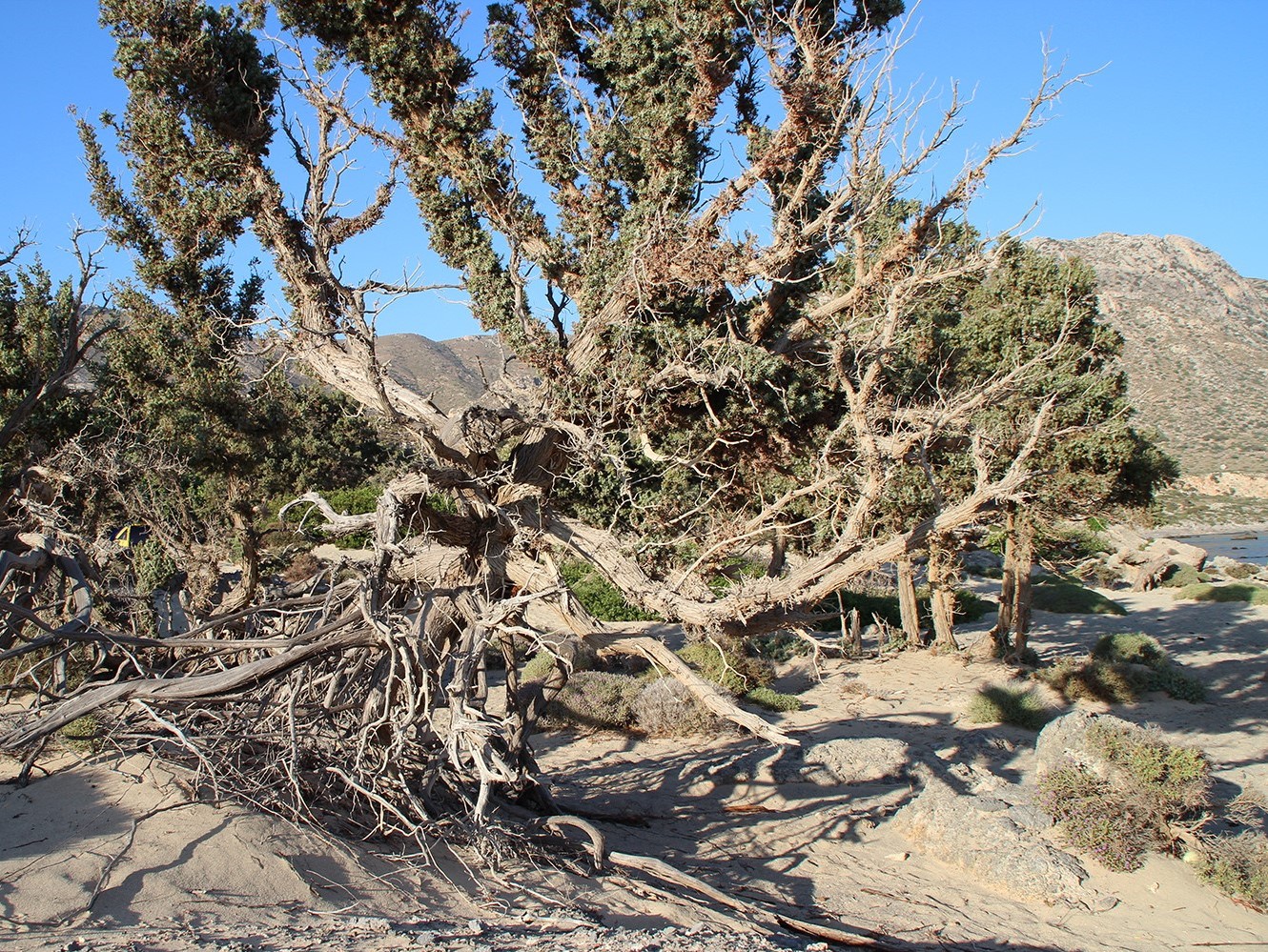 MyPhotoPics: Παραλία Κεδρόδασος, νήσος Κρήτη, Ελλάς