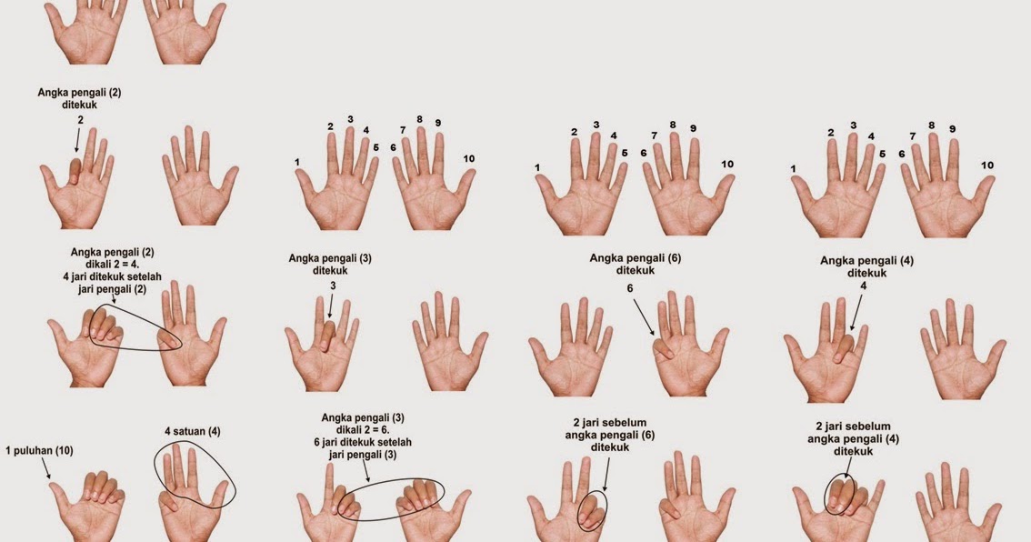 About Biology: CARA MENGHITUNG DENGAN JARITMATIKA