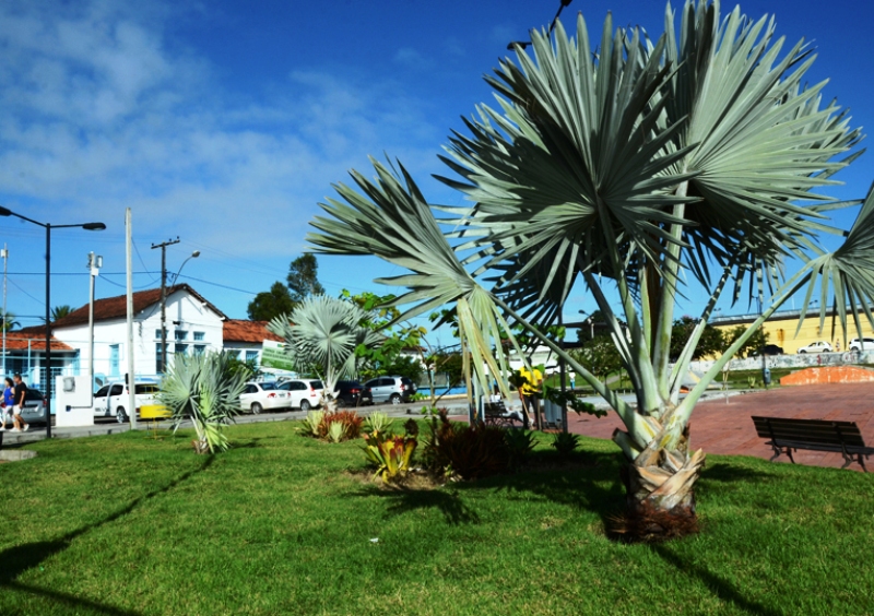 VIAGEM, TURISMO E AVENTURAS POR LUGARES INCRÍVEIS : ALAGOINHAS / BAHIA ...