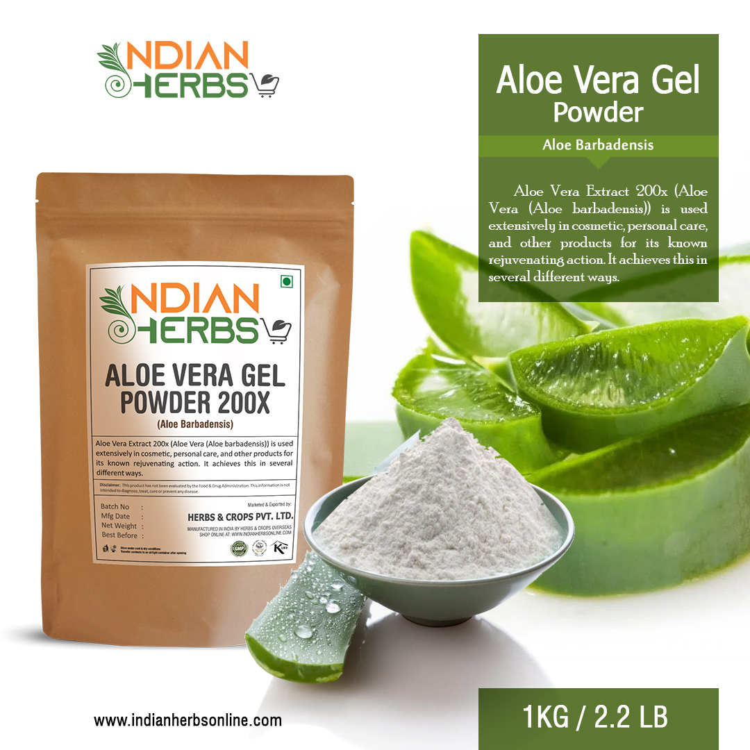 Aloe Vera Gel Powder 200X (Aloe Barbadensis) 1KG / 2.2 LB ( Value Pack )