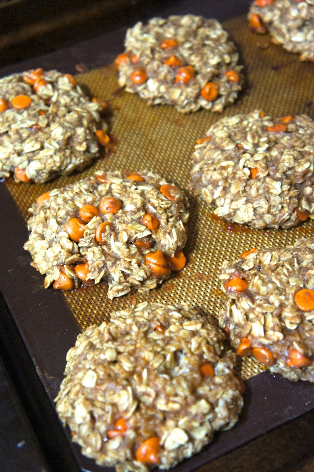 Savory Sweet and Satisfying: Oatmeal Snack Bites