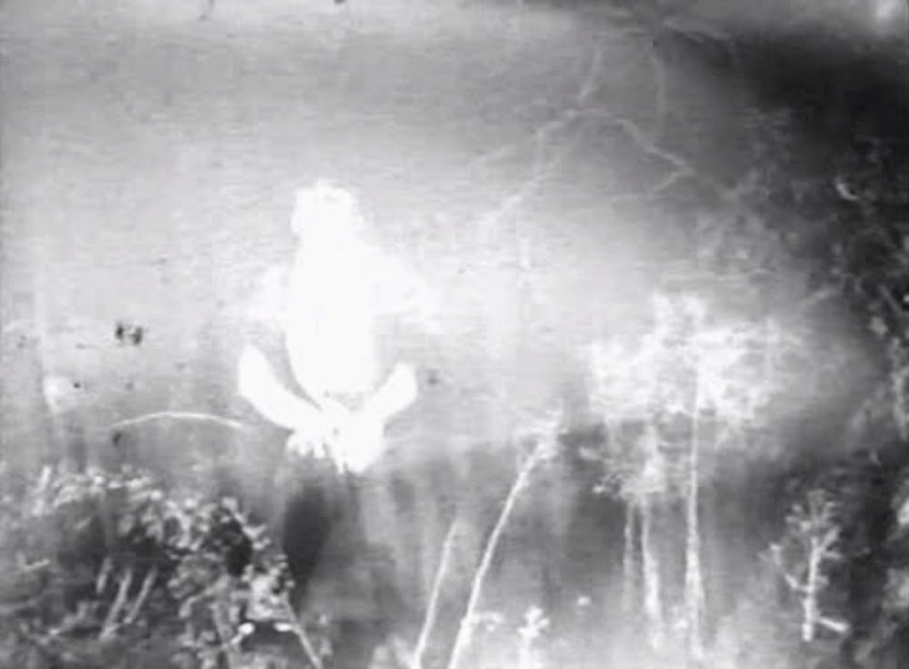 THE ART OF VISION: Blue Moses (Stan Brakhage, 1962)