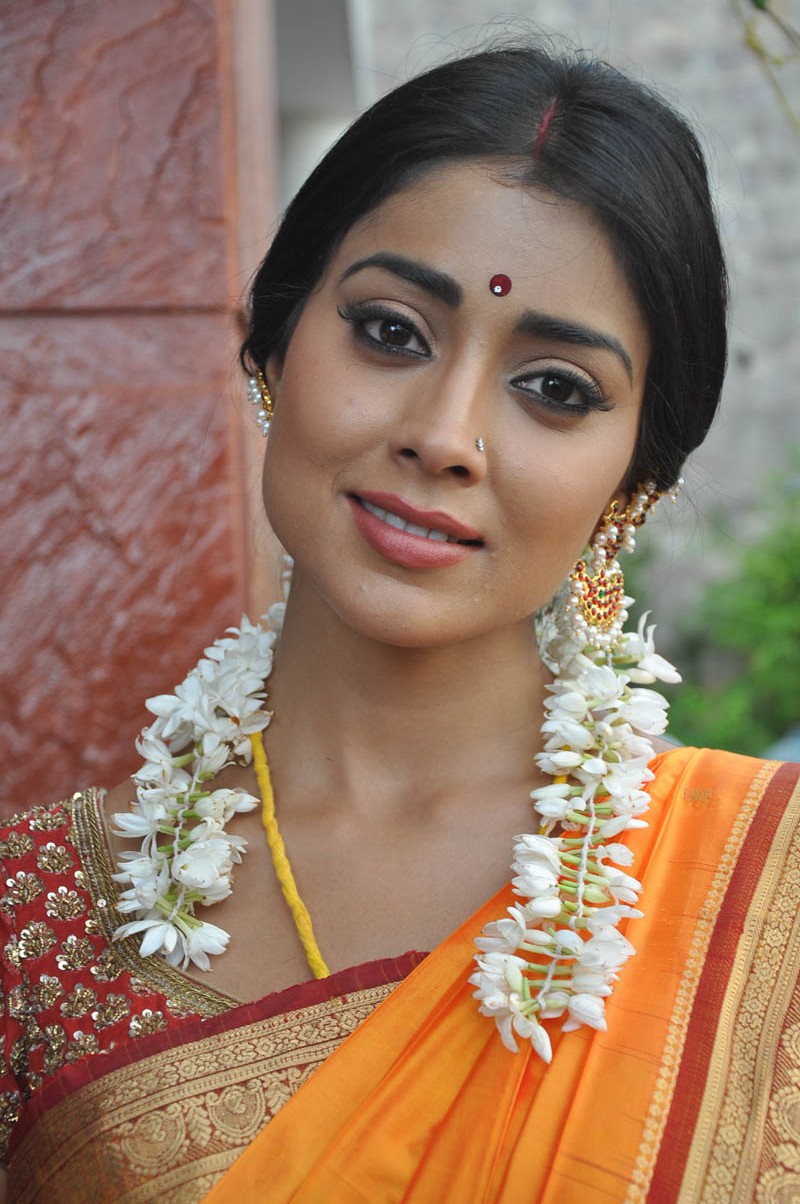 Sreya Saran Saree Stills | Tollywoodtv