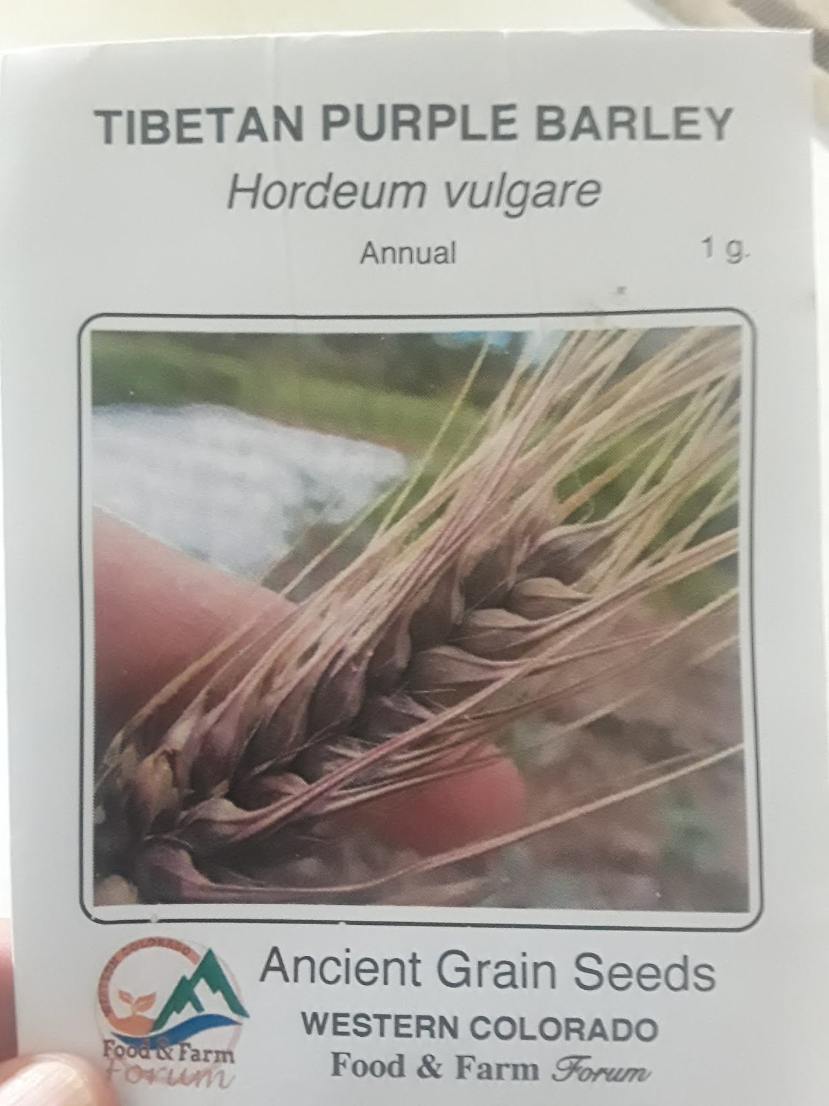 The Handspun Homestead: Tibetan Purple Barley