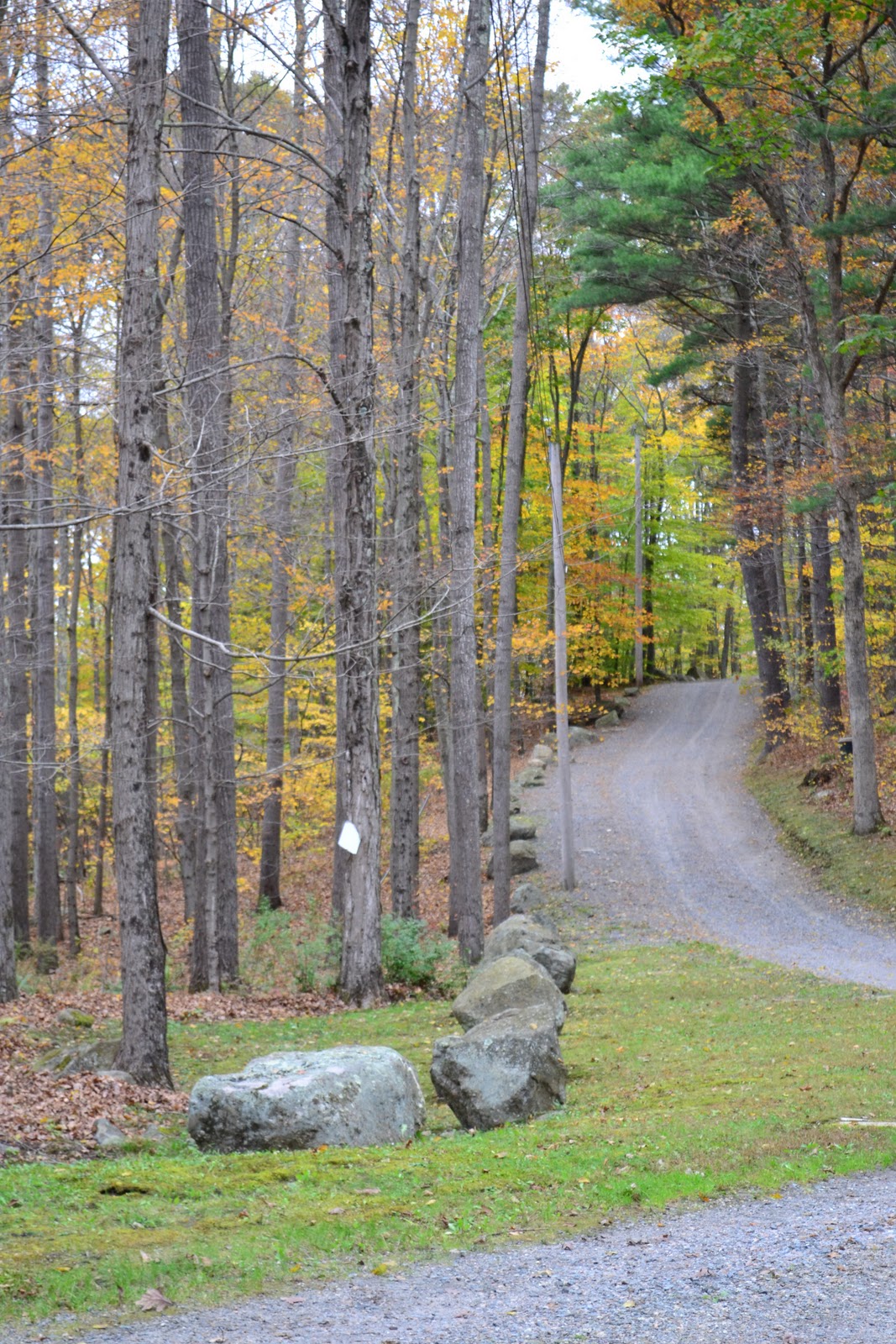 A Not So Grand Tour: Connecticut Countryside