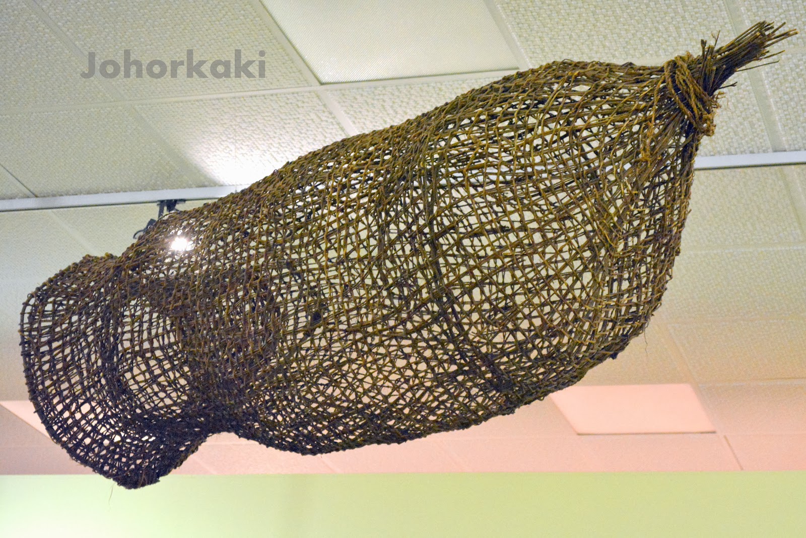 Traditional Aboriginal Food in Northern Territories, Australia - Johor ...