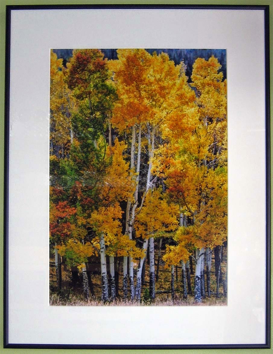 Belmar Frame & Art: The Theme: Old Churches, Schools and Mills