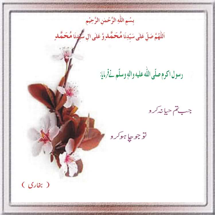 TAMANA-ISLAMI: sunehri baatein