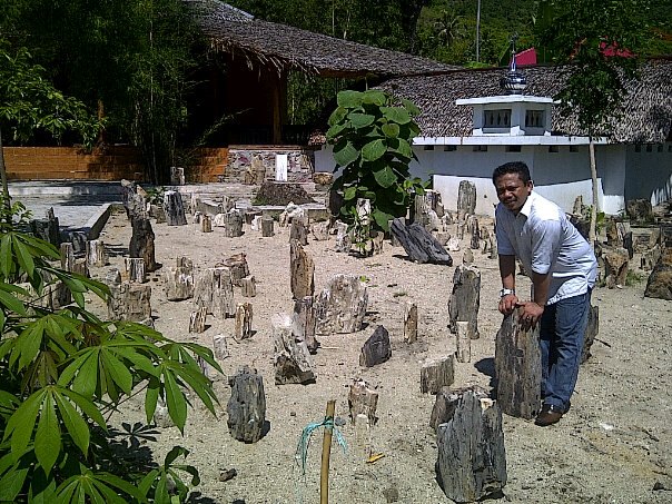 Museum Fosil Kayu Indonesia: MUSEUM FOSIL KAYU di GORONTALO