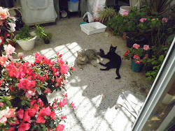 LaNaynay: Tutoriales