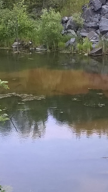 Lake Superior Rift Change: The Keweenawan Rift Seismic Activity: Fwd ...