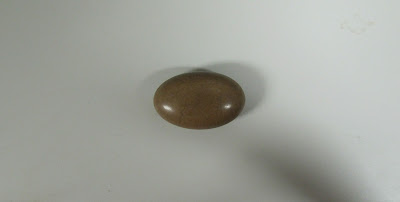 Sam Houston Memorial Museum Blog: The Mad Stone