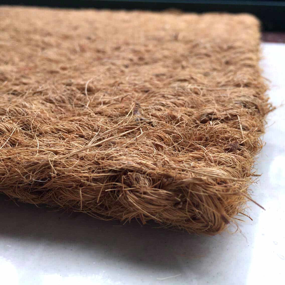 Coconut Coir Brick