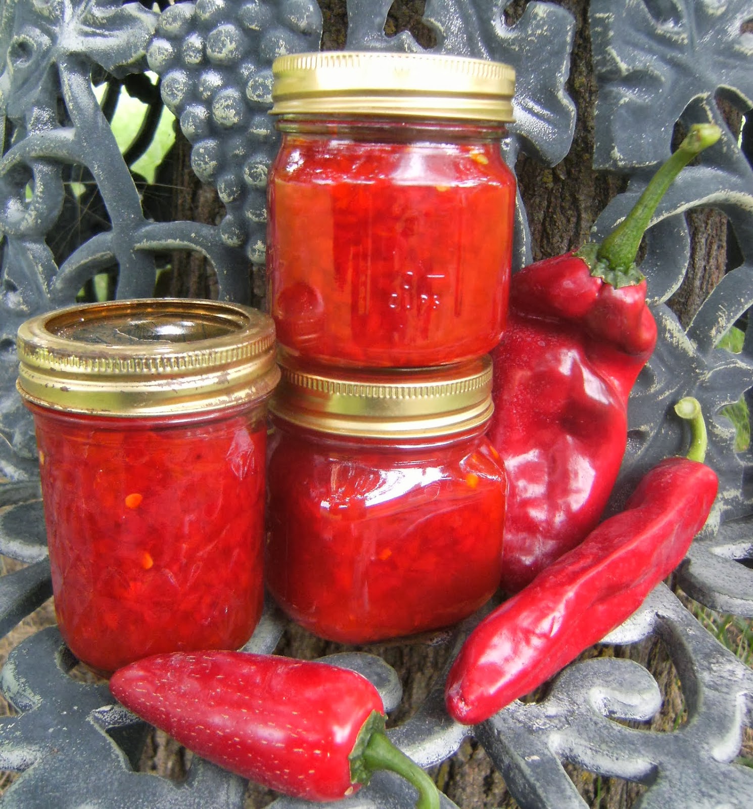 See the Beauty in the Ordinary: Jamming: Red Pepper Honey Jam