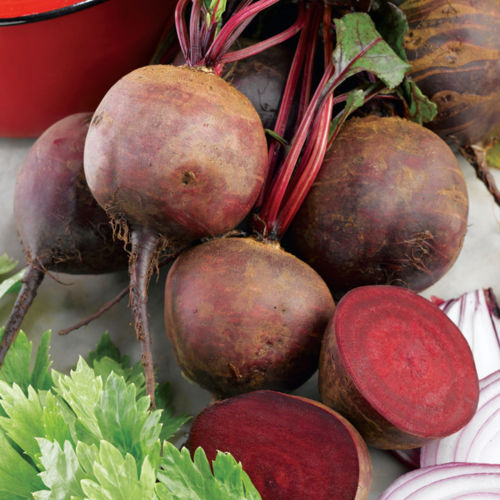 shiatoshi: Beet Root