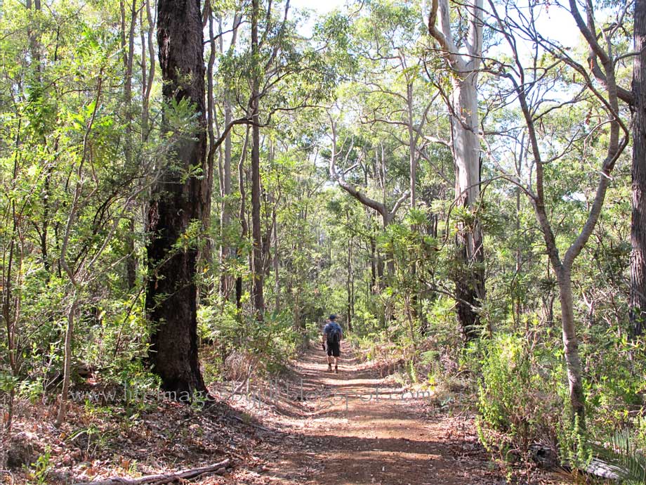 Life Images by Jill: Camping at Potter's Gorge, Wellington Dam, Western ...