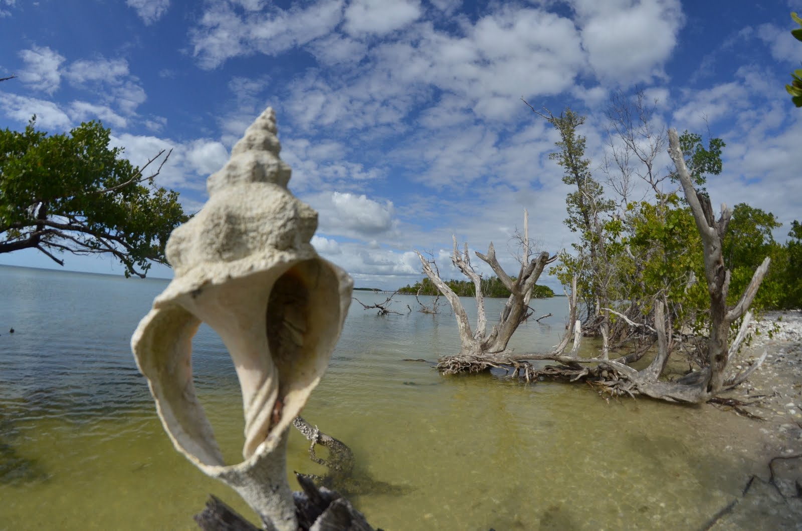50 pictures of Florida Everglades National Park, An attractive ...