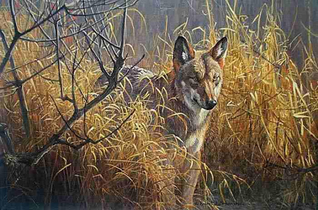 White Wolf : Robert Bateman : Well known and talented Canadian Wildlife ...